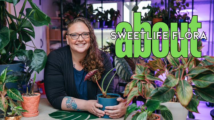 Sweetlife Flora - Plants & Plant Care Products for Everyone ...
